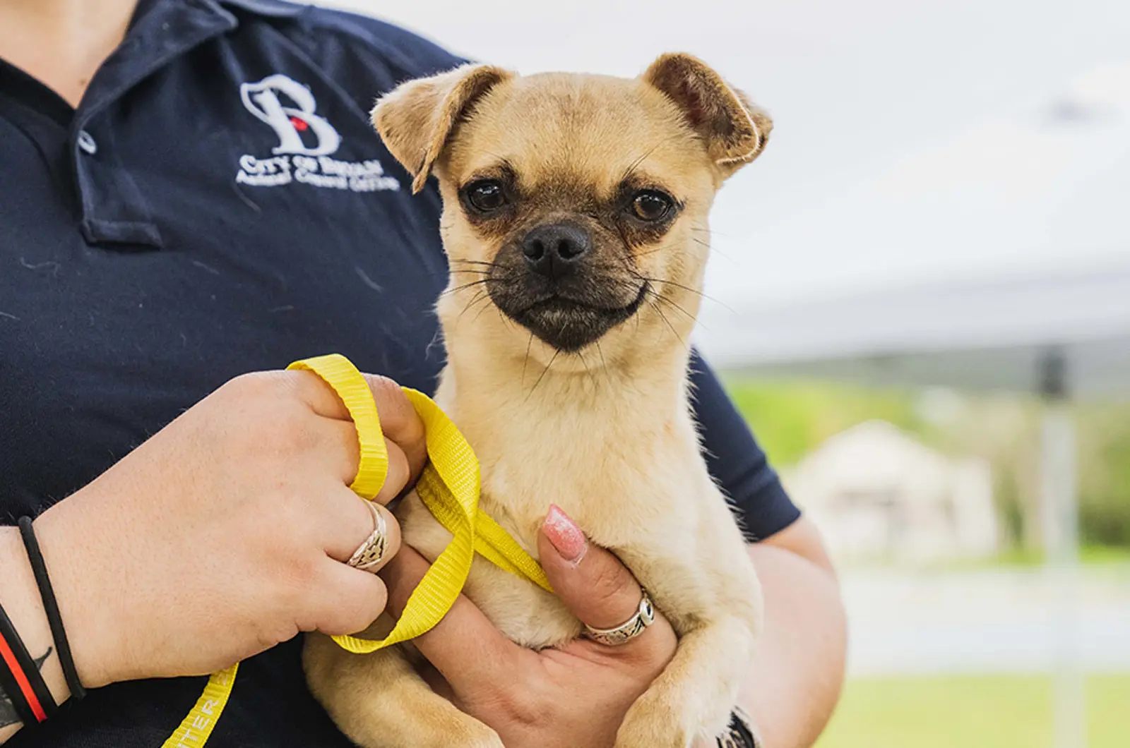 Bryan Animal Center | City of Bryan