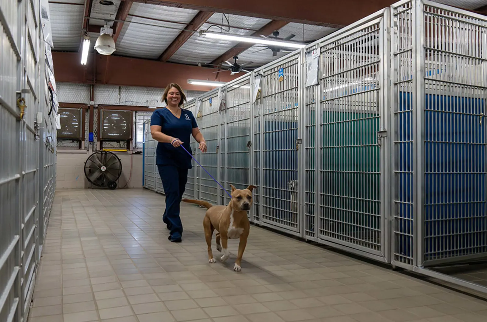 Bryan Animal Center | City of Bryan
