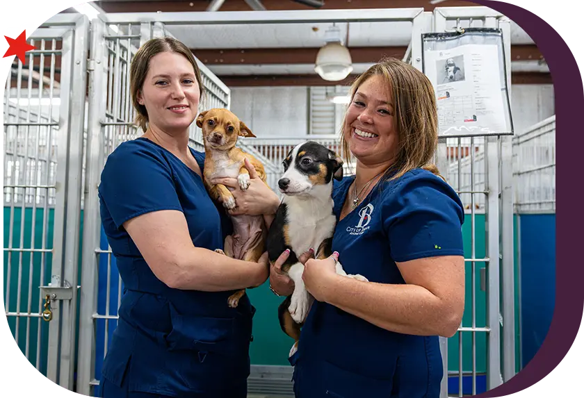 Animal Services | City of Bryan